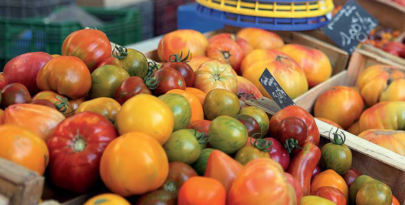 Tomates Bio - Agrosemens