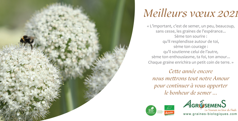 Meilleurs vœux 2021 - Agrosemens