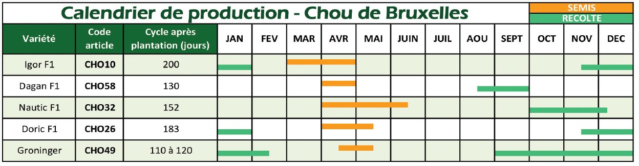 Agrosemens, Jardin, Graines,Graine,Semences,Semence,bio,CHOU de ...